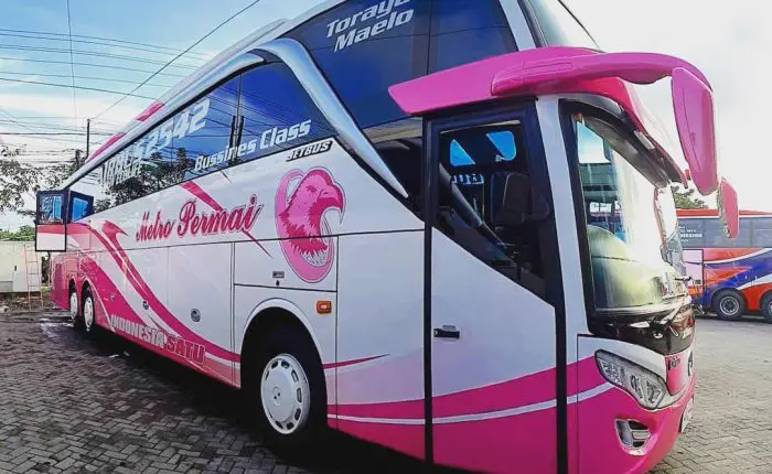 Bus Ticket Toraja to Makassar - Local Guides Indonesia